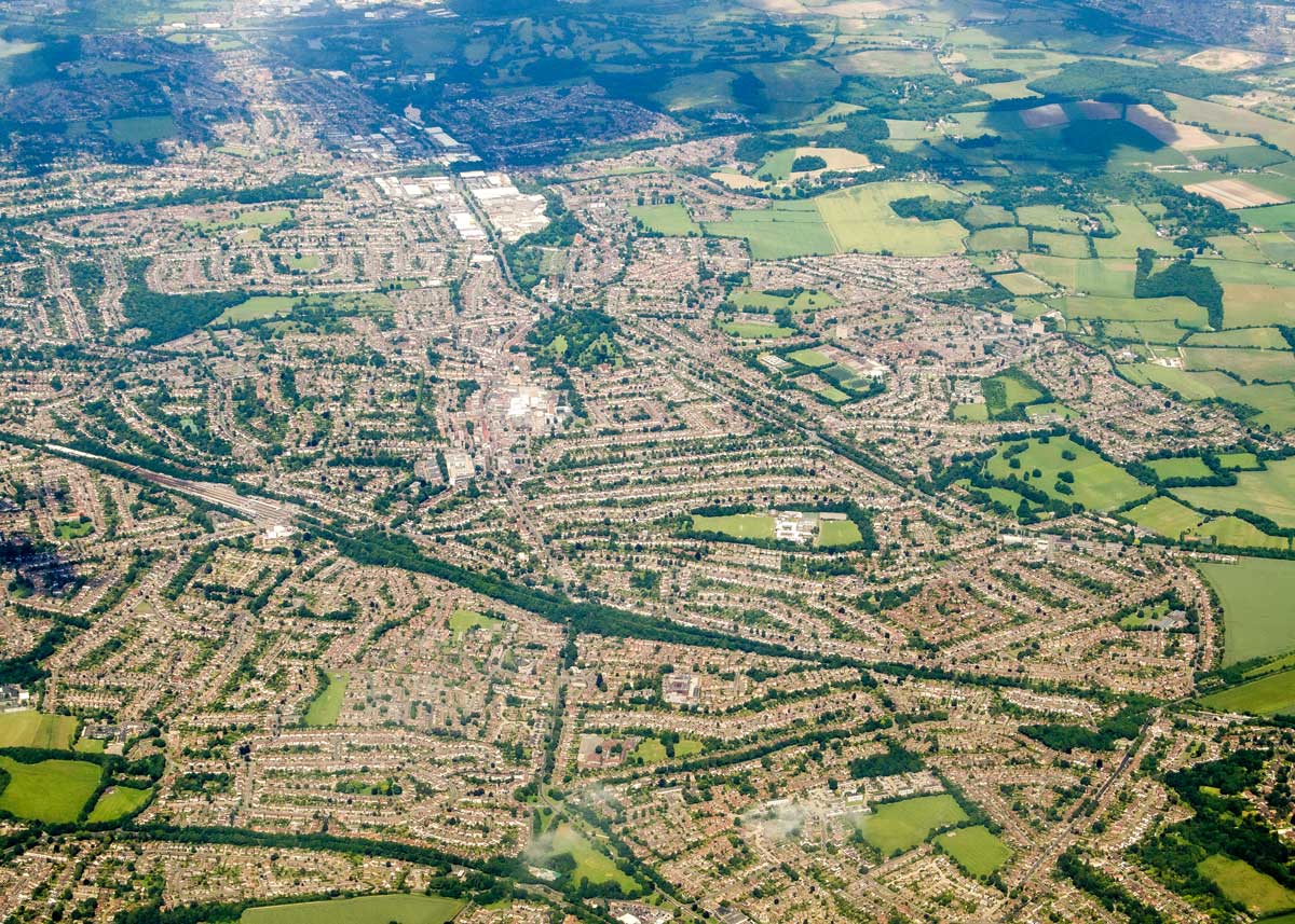 Team Frames Orpington